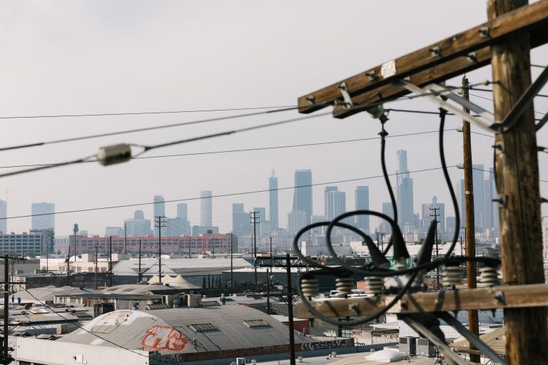 A Colorful Space; A Journey into Rewilded in DTLA