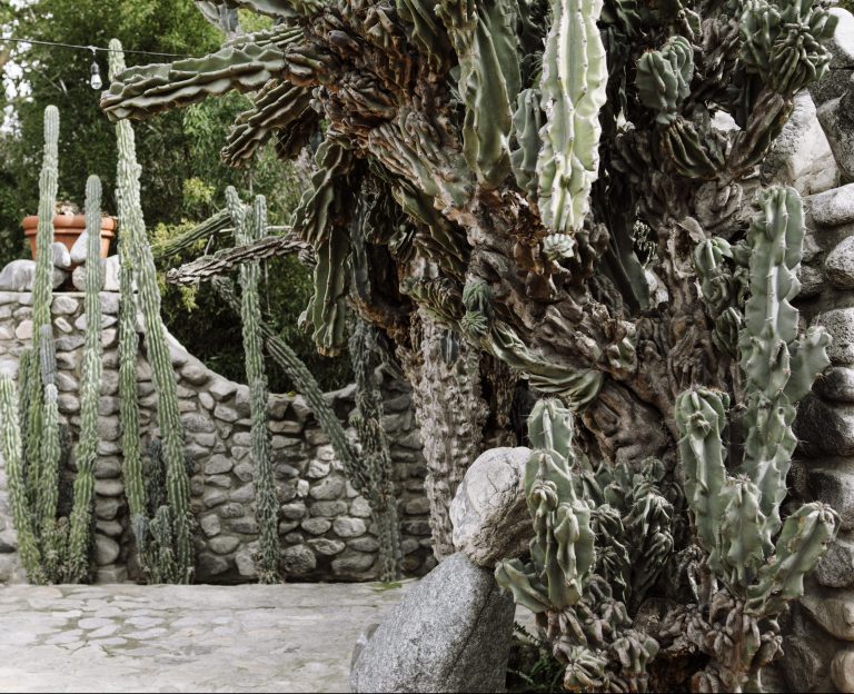 City Living meets Desert Oasis; Stonehurst Venue in Shadow Hills ...